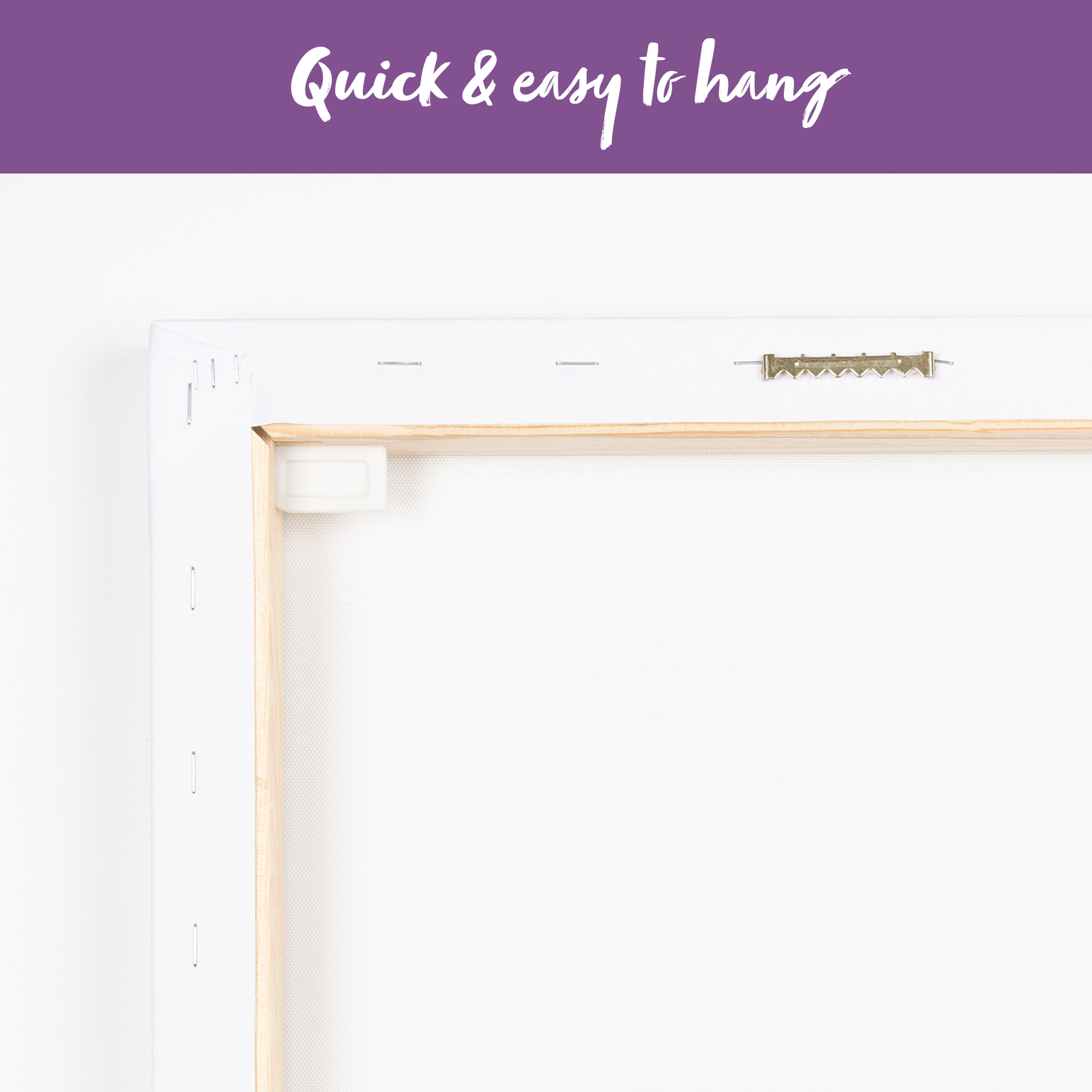 Highland Cow Art - Angus McCoo Canvas | Steven Brown Art