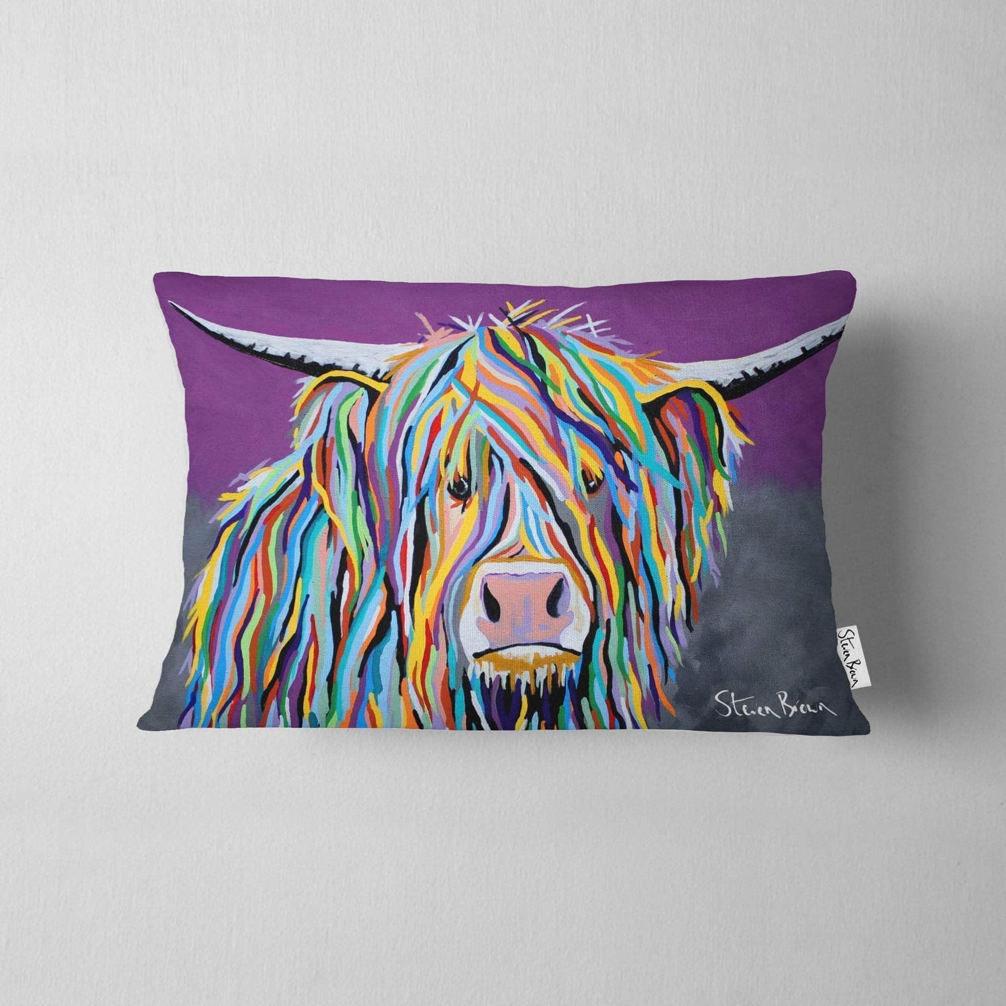 Angus McCoo - Faux Suede Cushions | Steven Brown Art