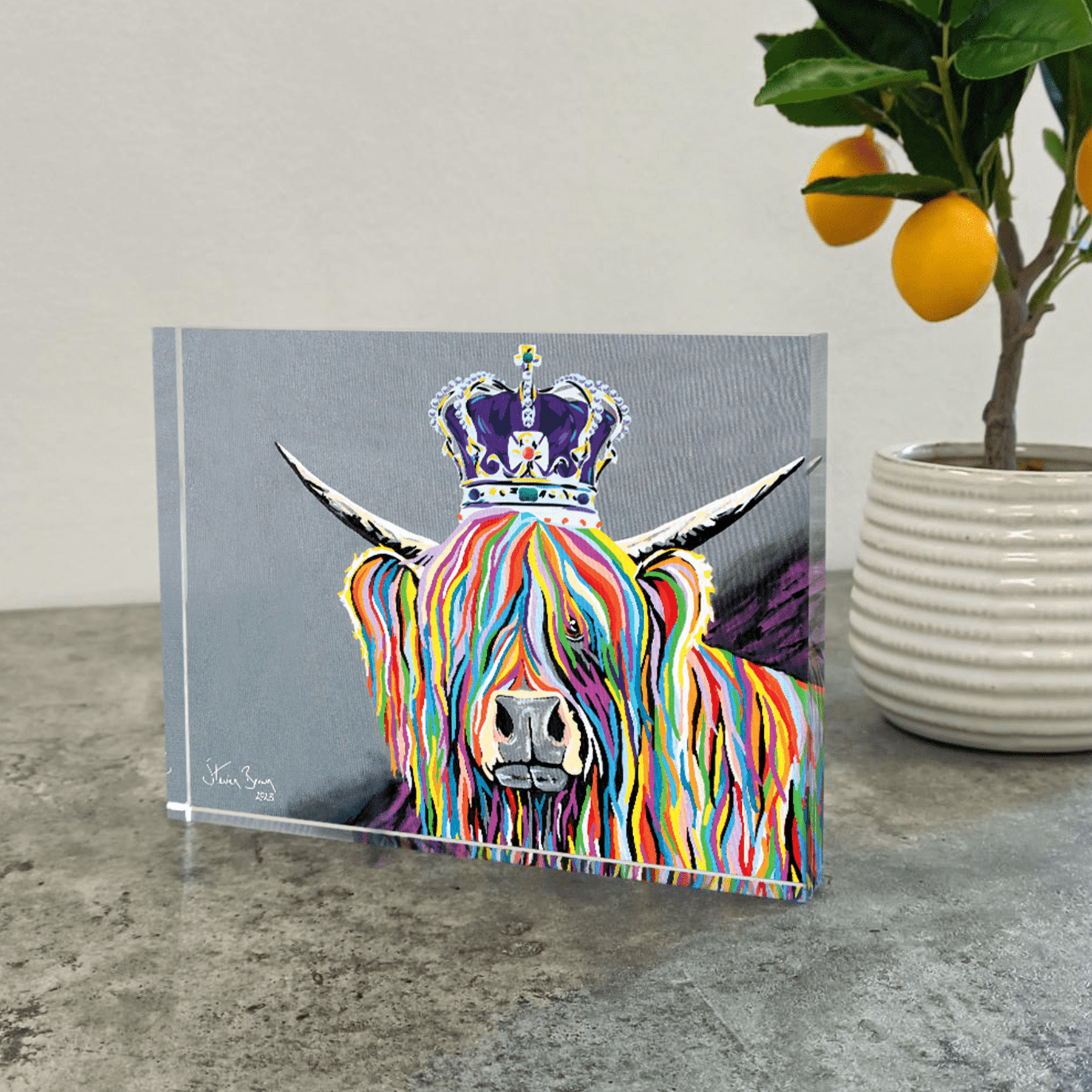 Coronation Charlie McCoo Art Block | Steven Brown Art