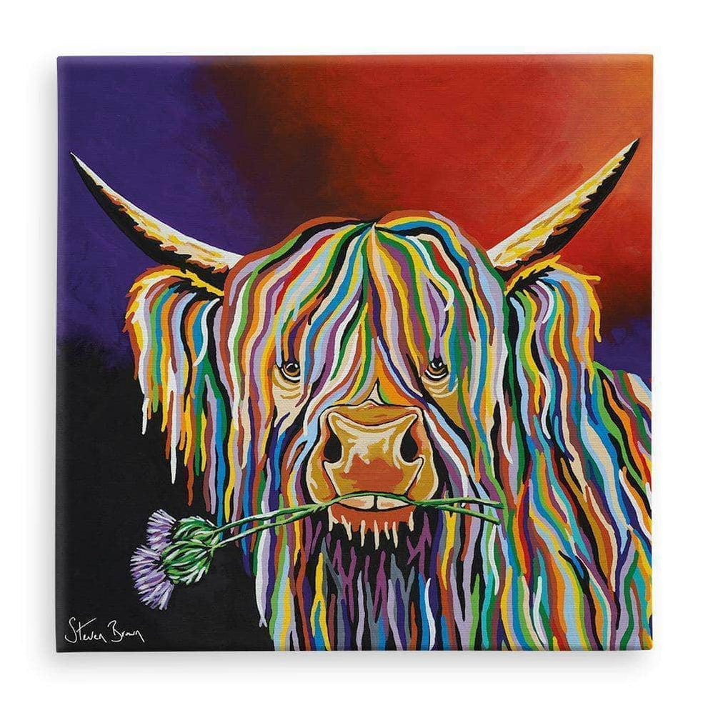 Steven Brown McCoo Canvases - Colourful Highland Cow Art — Steven Brown Art