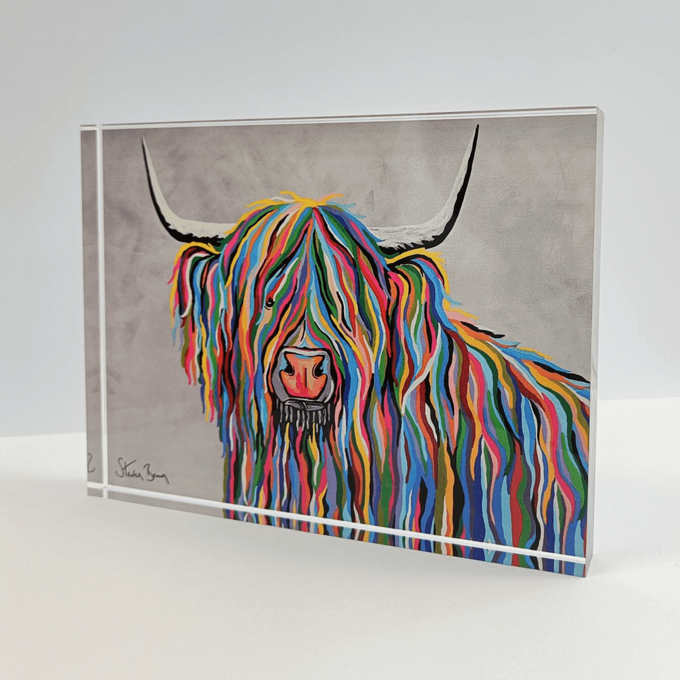 Emily McCoo Art Block | Highland Cow Accessories | Steven Brown Art