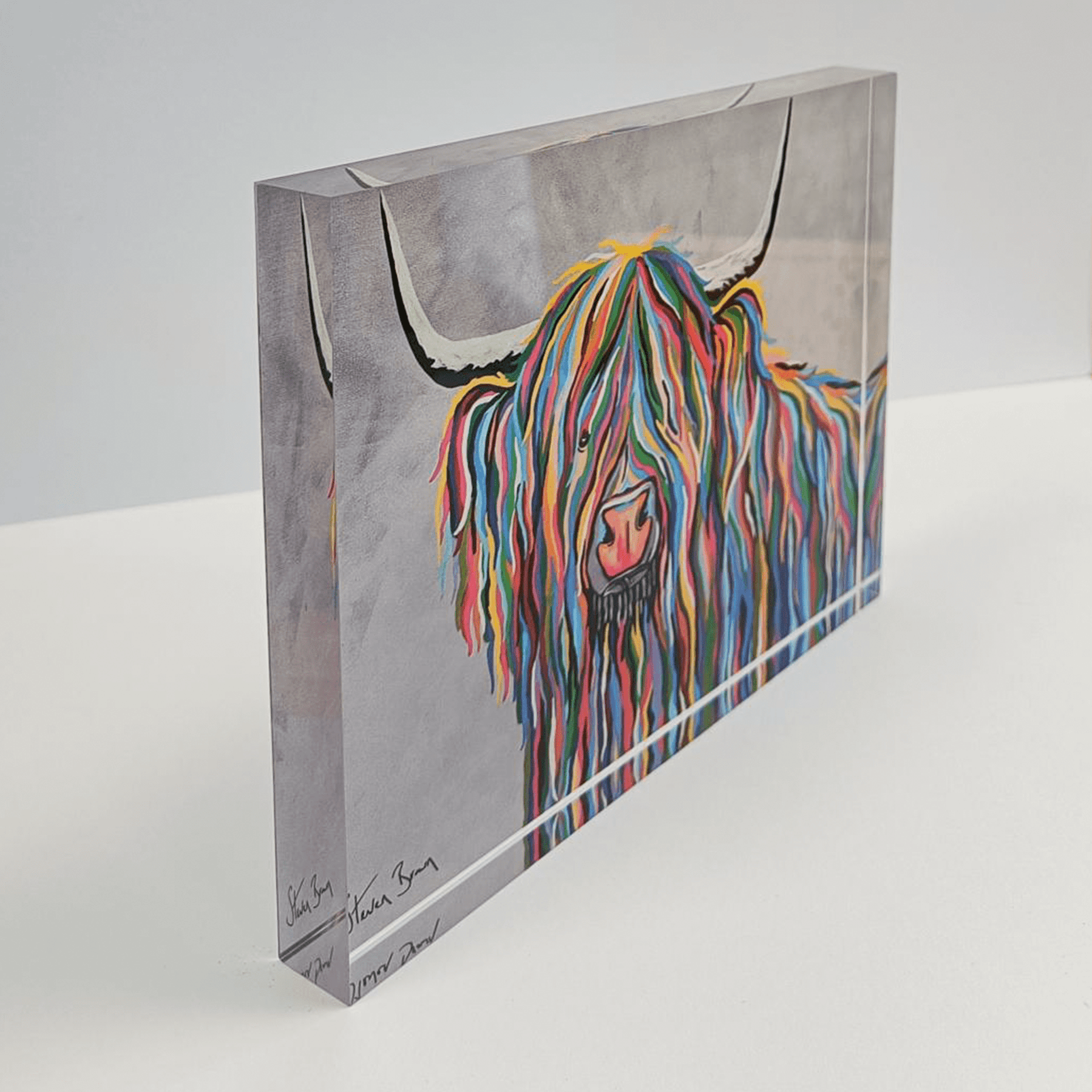 Emily McCoo Art Block | Highland Cow Accessories | Steven Brown Art
