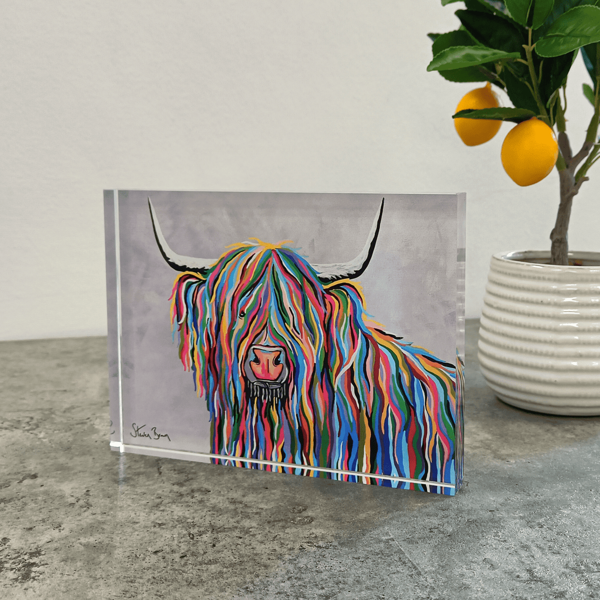 Emily McCoo Art Block | Highland Cow Accessories | Steven Brown Art