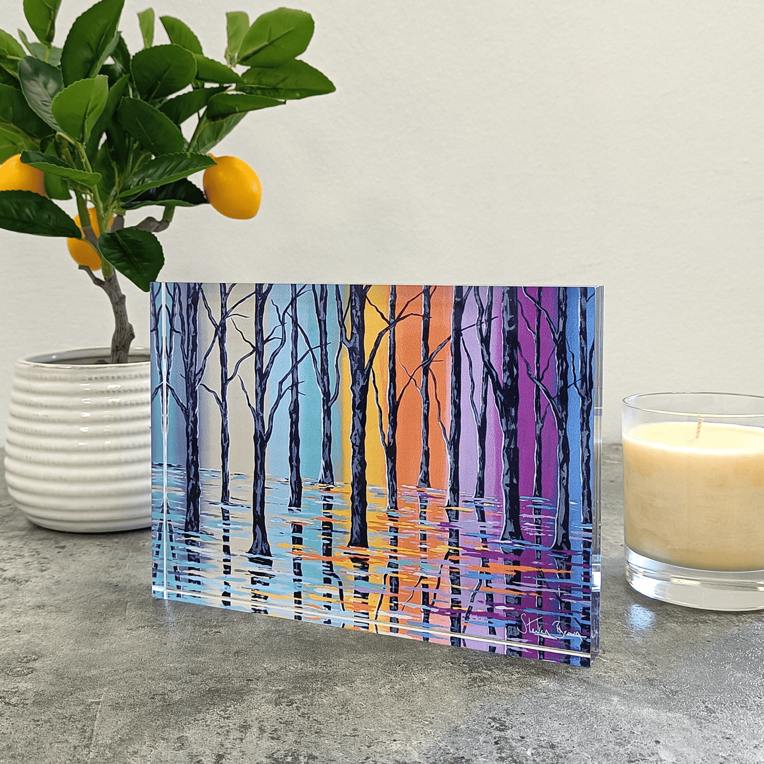 Acrylic Art Blocks | Steven Brown Art