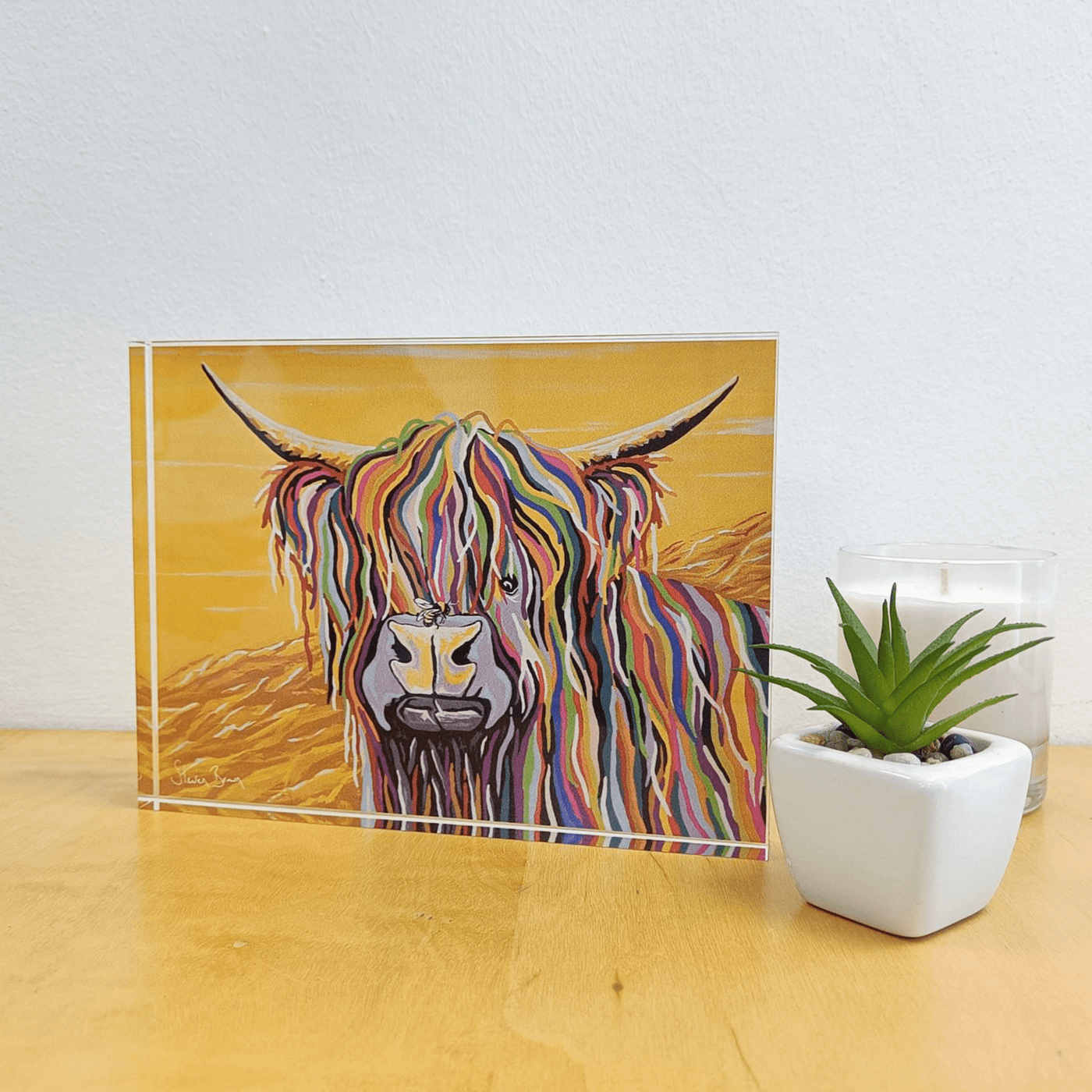 Gordon McCoo Art Block | Highland Cow Accessories | Steven Brown Art