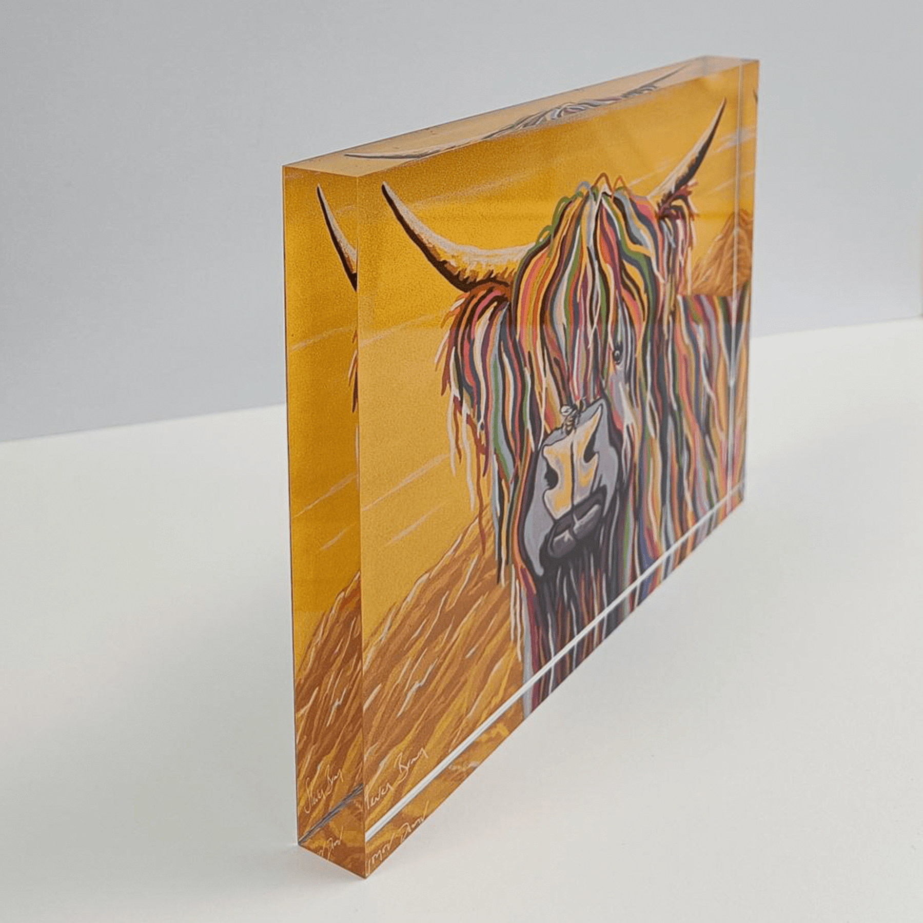 Gordon McCoo Art Block | Highland Cow Accessories | Steven Brown Art