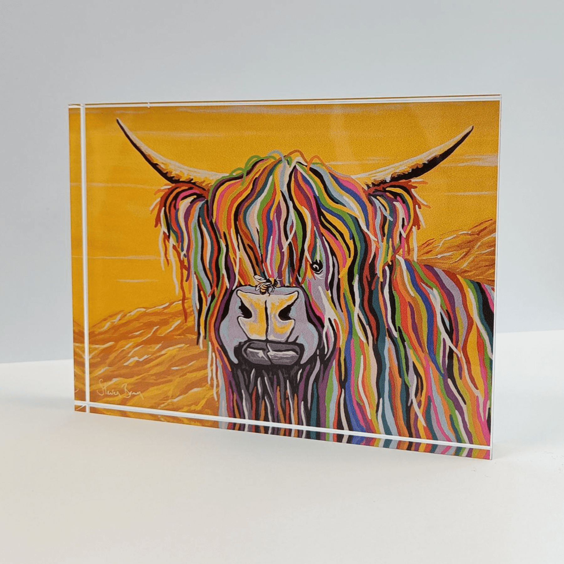 Gordon McCoo Art Block | Highland Cow Accessories | Steven Brown Art