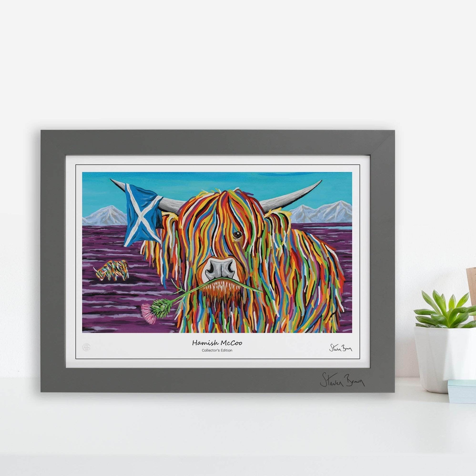 Hamish McCoo | Collection | Steven Brown Art & Lifestyle