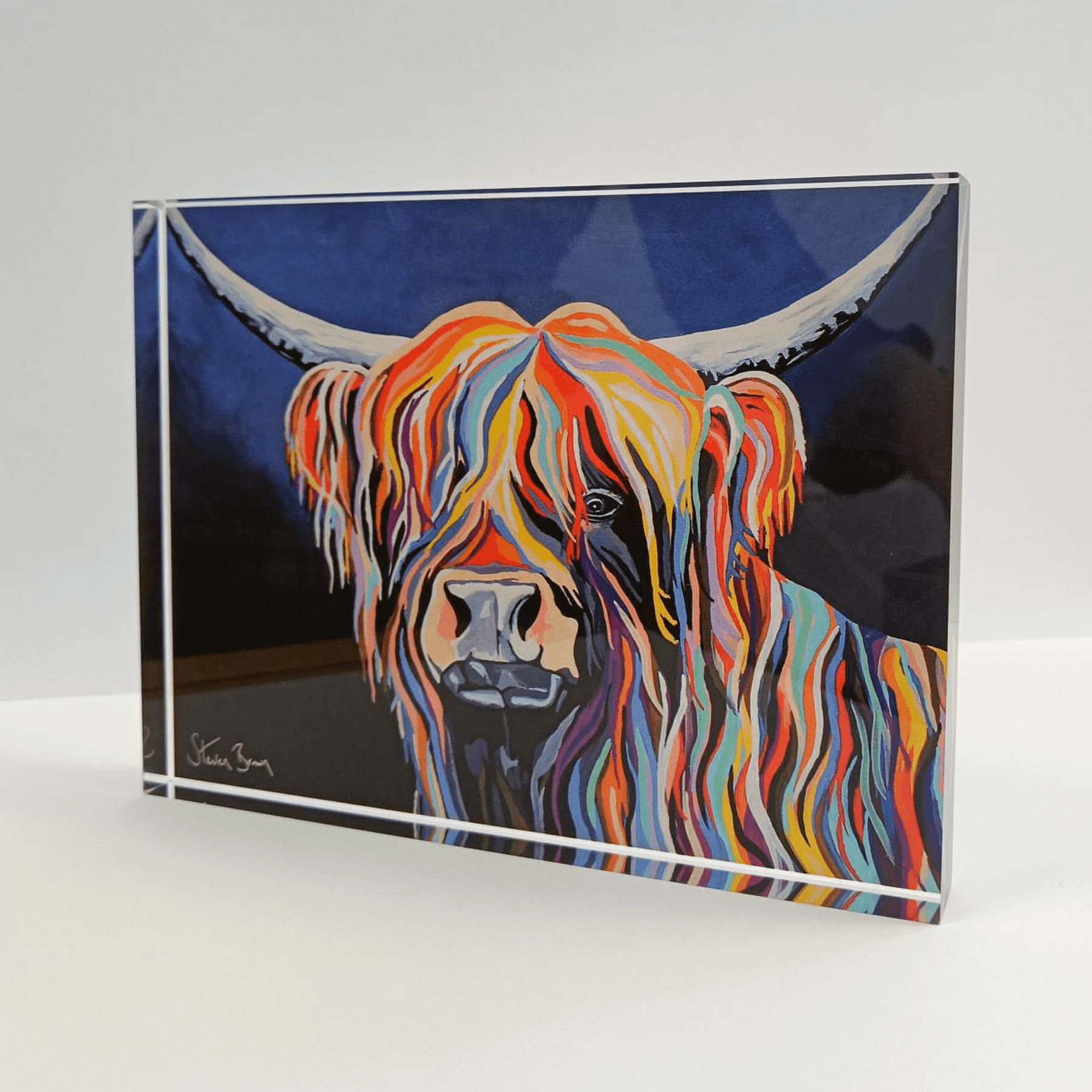 Harris McCoo Art Block | Highland Cow Accessories | Steven Brown Art