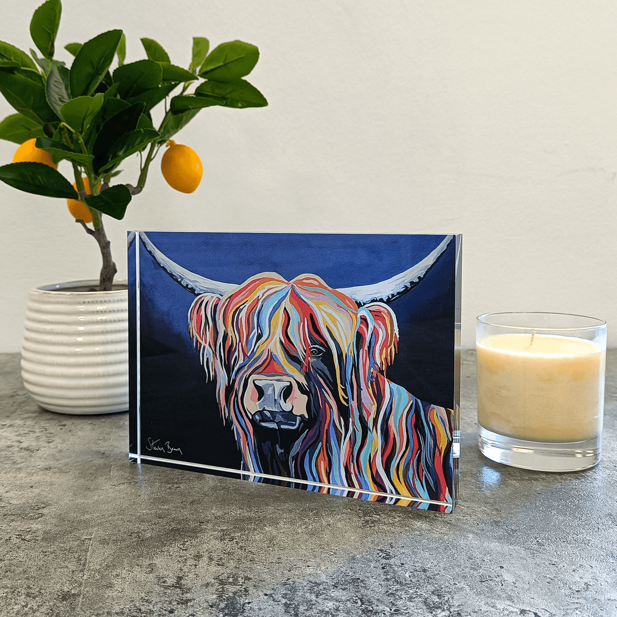 Harris McCoo Art Block | Highland Cow Accessories | Steven Brown Art