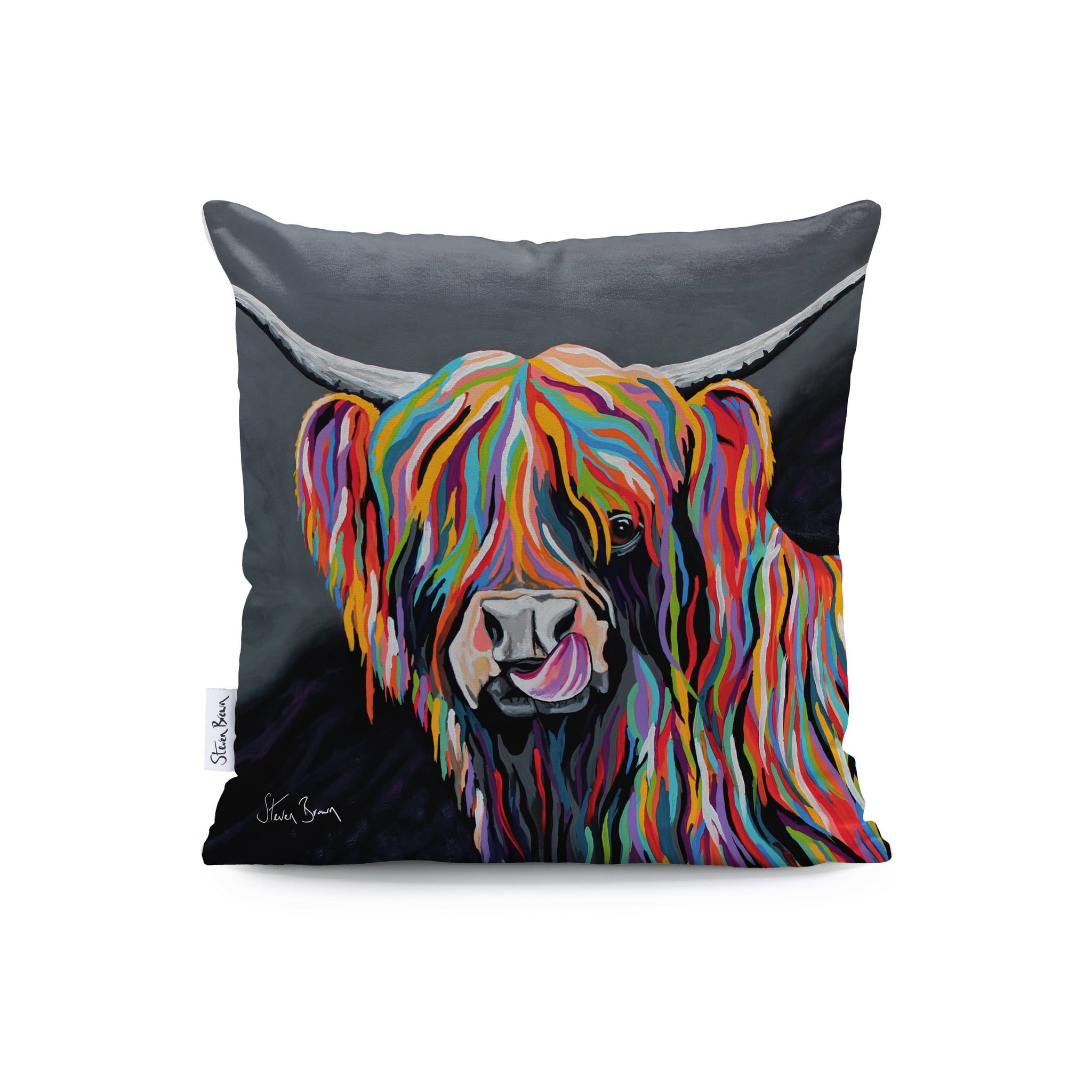 Heather McCoo Colourful Highland Cow Art | Steven Brown Art