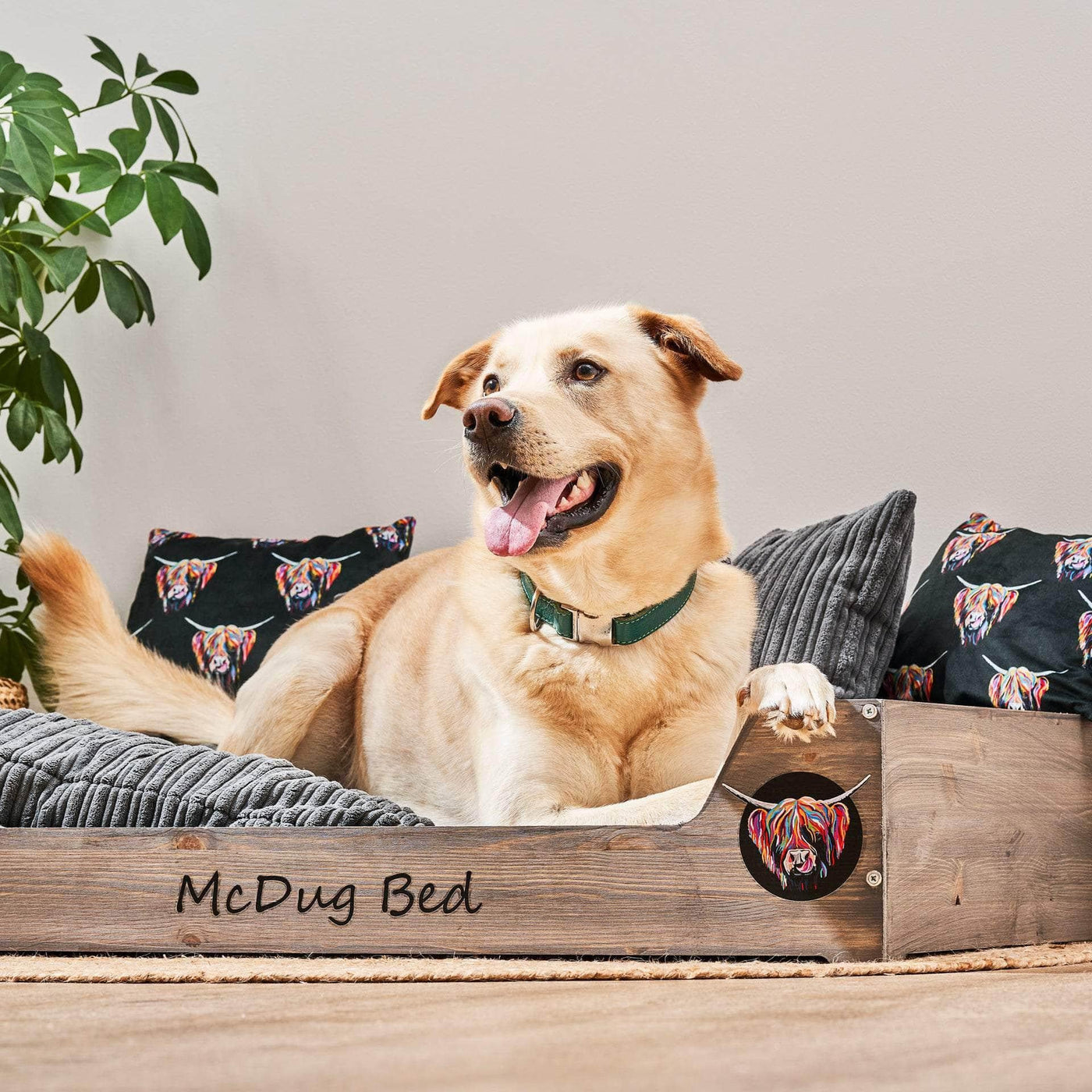 Handmade Luxury Wooden Dog Bed | Steven Brown Art