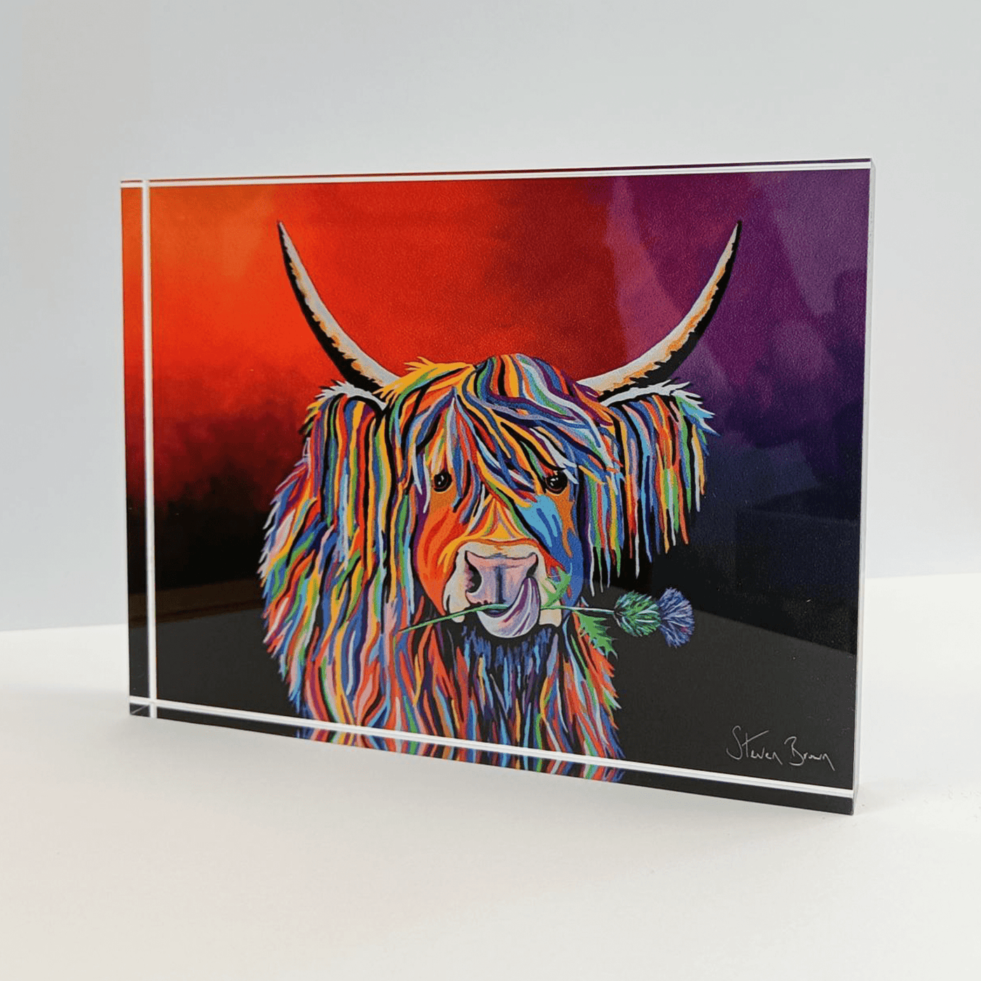 Lizzie McCoo Art Block | Highland Cow Accessories | Steven Brown Art