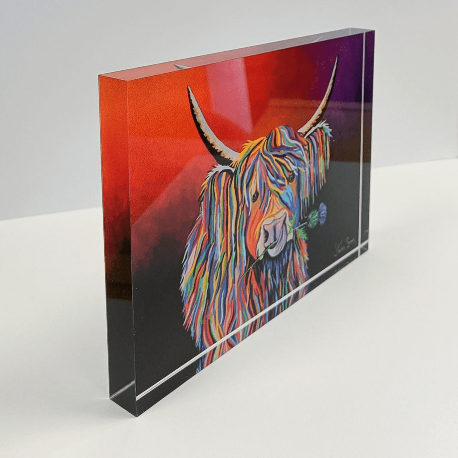Lizzie McCoo Art Block | Highland Cow Accessories | Steven Brown Art