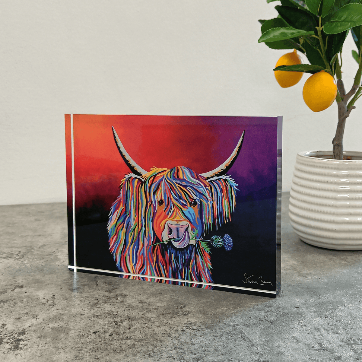 Lizzie McCoo Art Block | Highland Cow Accessories | Steven Brown Art