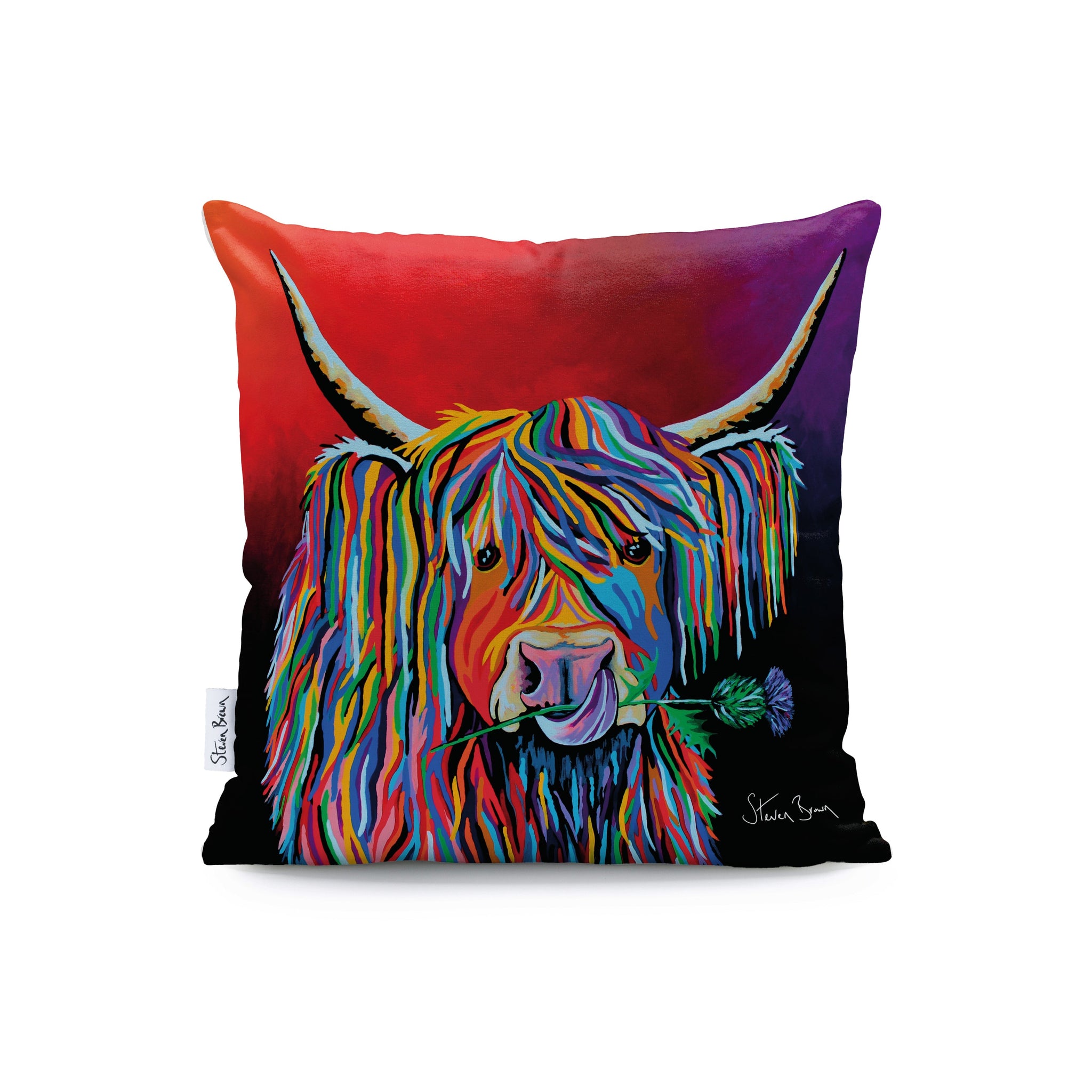 Lizzie McCoo Colourful Highland Cow Art | Steven Brown Art