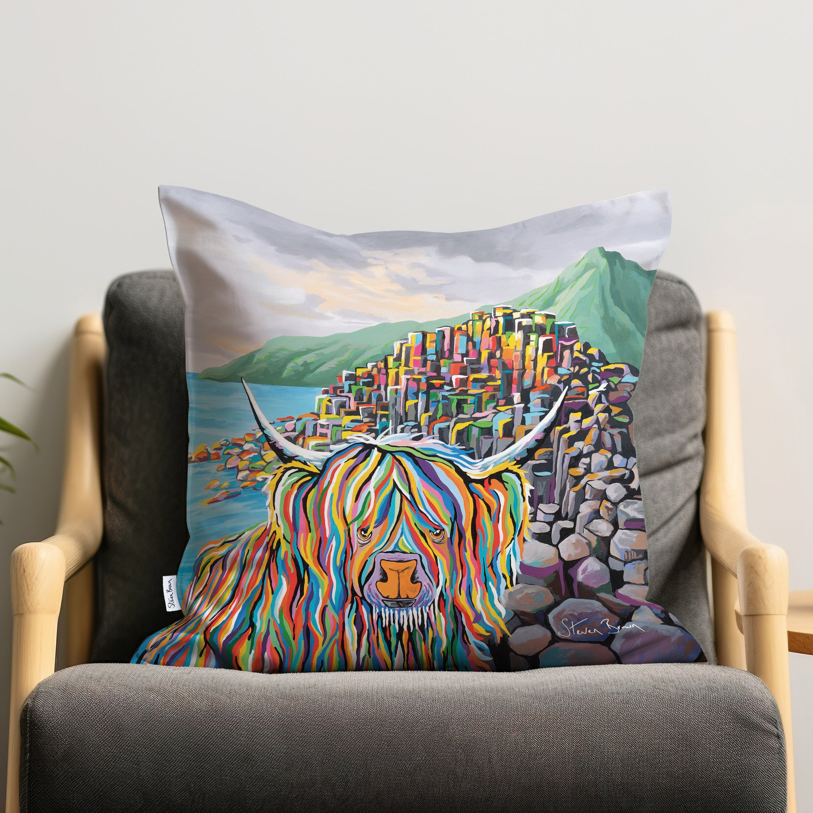 Paddy McCoo - Faux Suede Cushions | Steven Brown Art