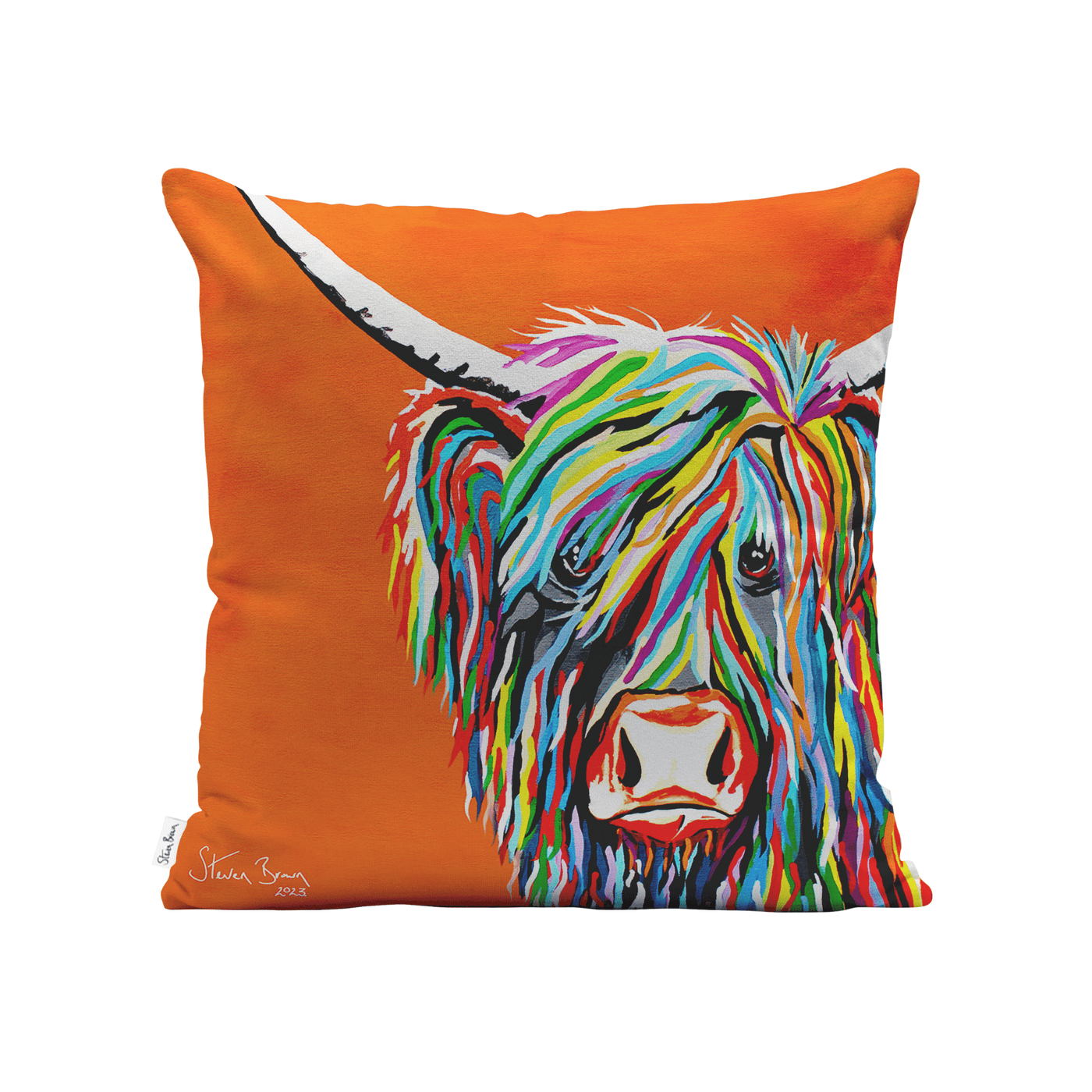 Rainbow Rab McCoo | Special Edition Cushions | Steven Brown Art