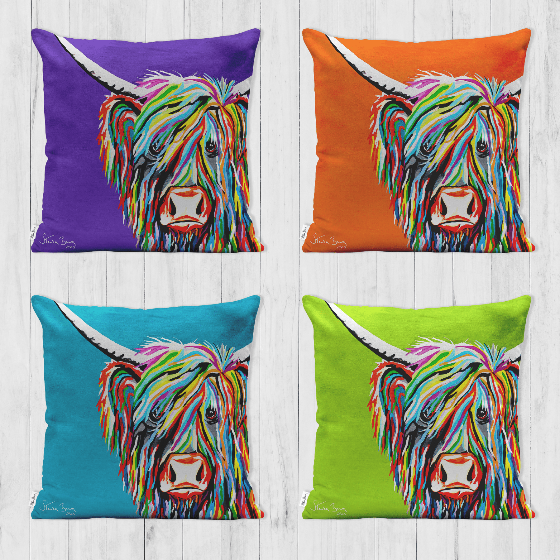 Steven Brown Cushions - Art Designed Cushions — Steven Brown Art