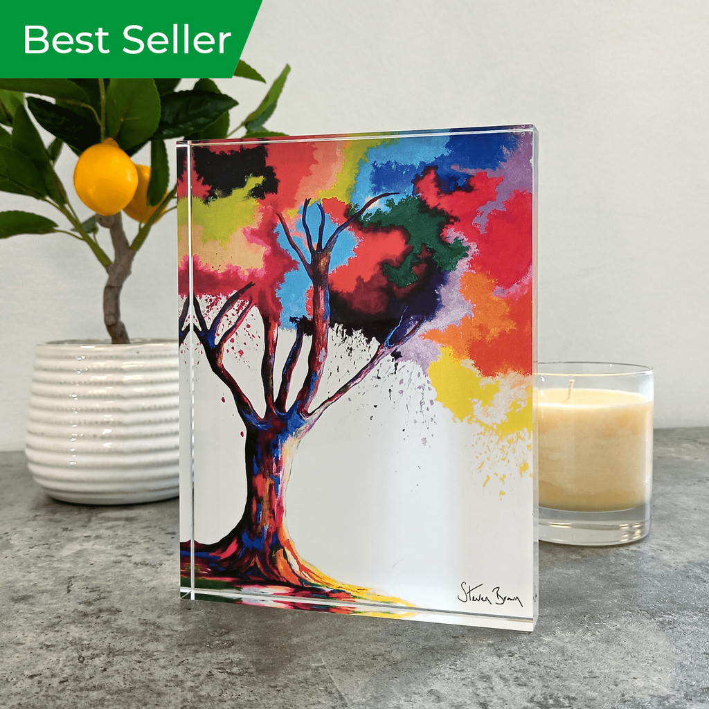 Acrylic Art Blocks | Steven Brown Art