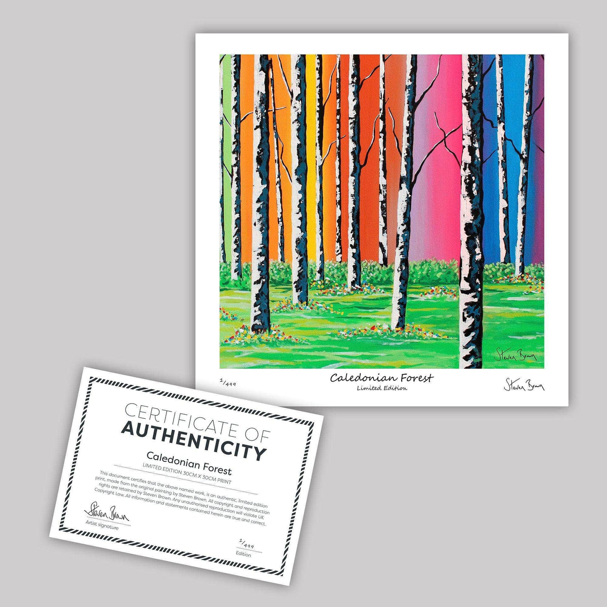 Caledonian Forest - Mini Limited Edition Print | Steven Brown Art