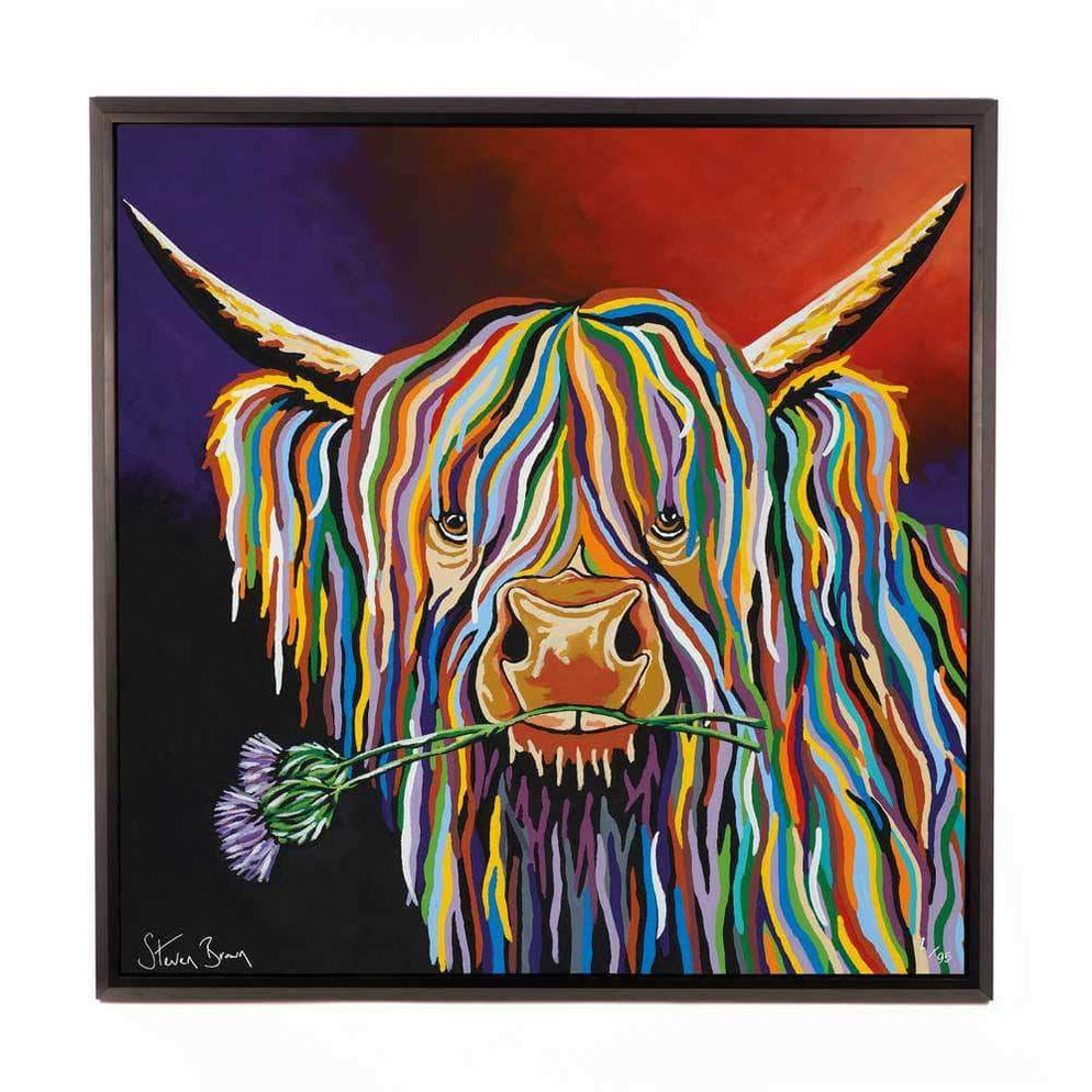 Dougie McCoo | Limited Edition Wall Art | Steven Brown Art