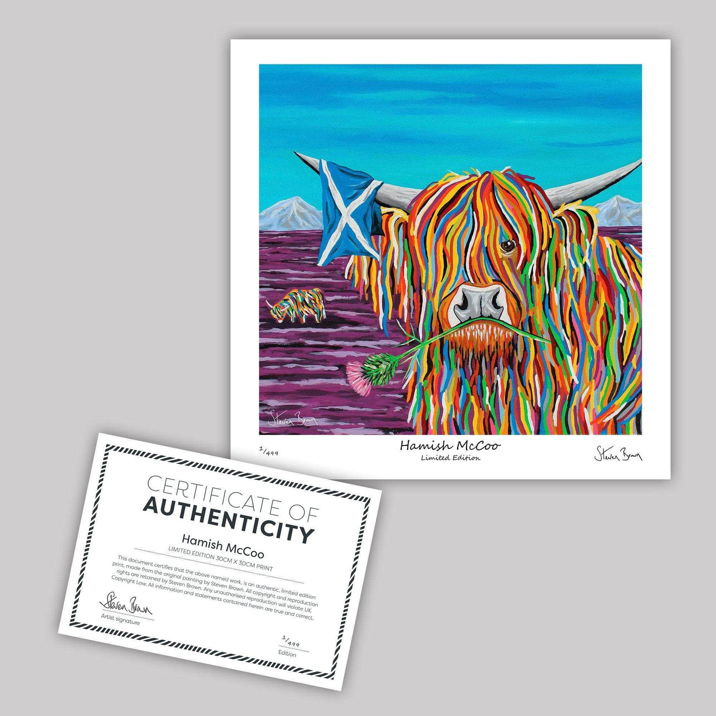 Hamish McCoo - Mini Limited Edition Print | Steven Brown Art
