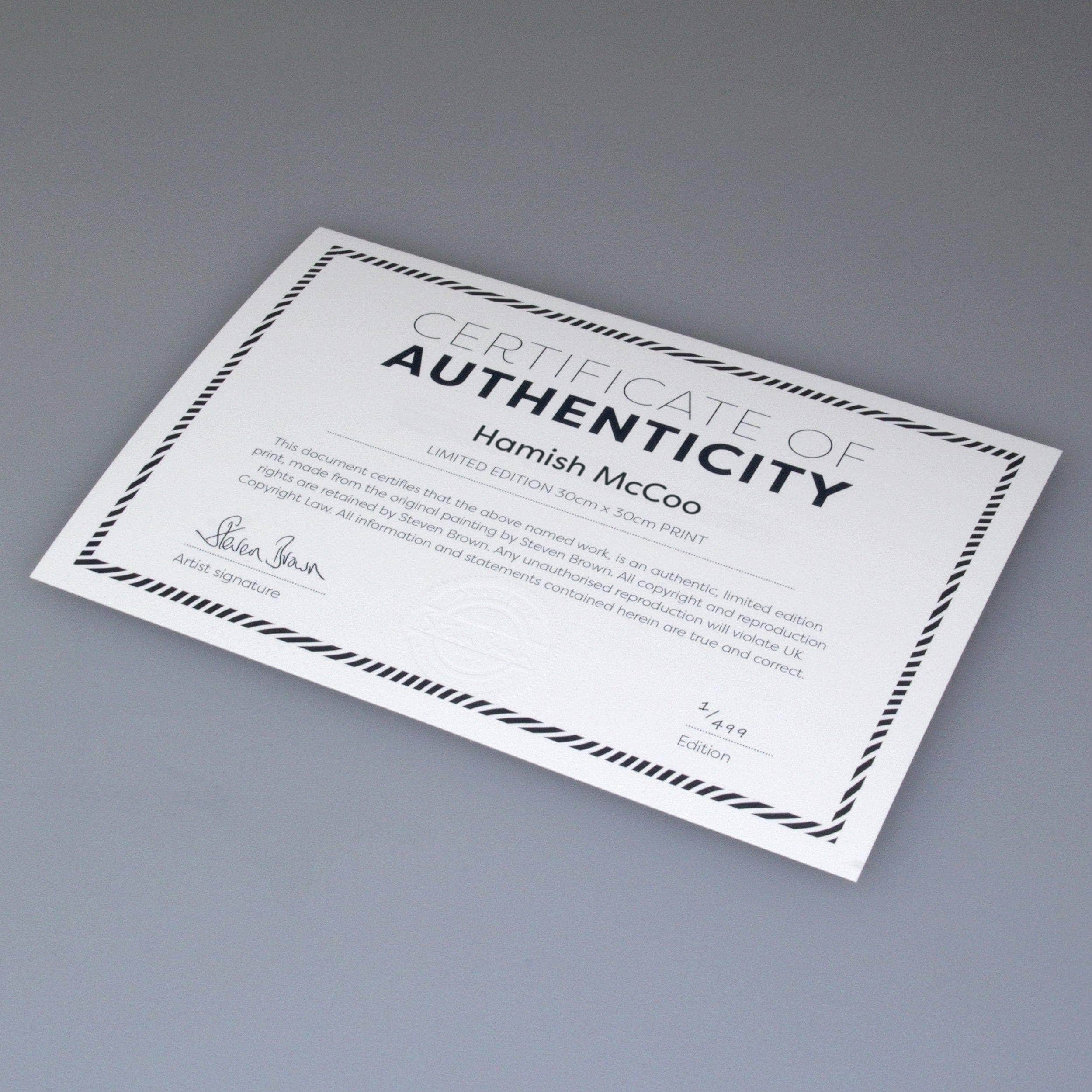 Hamish McCoo - Mini Limited Edition Print | Steven Brown Art