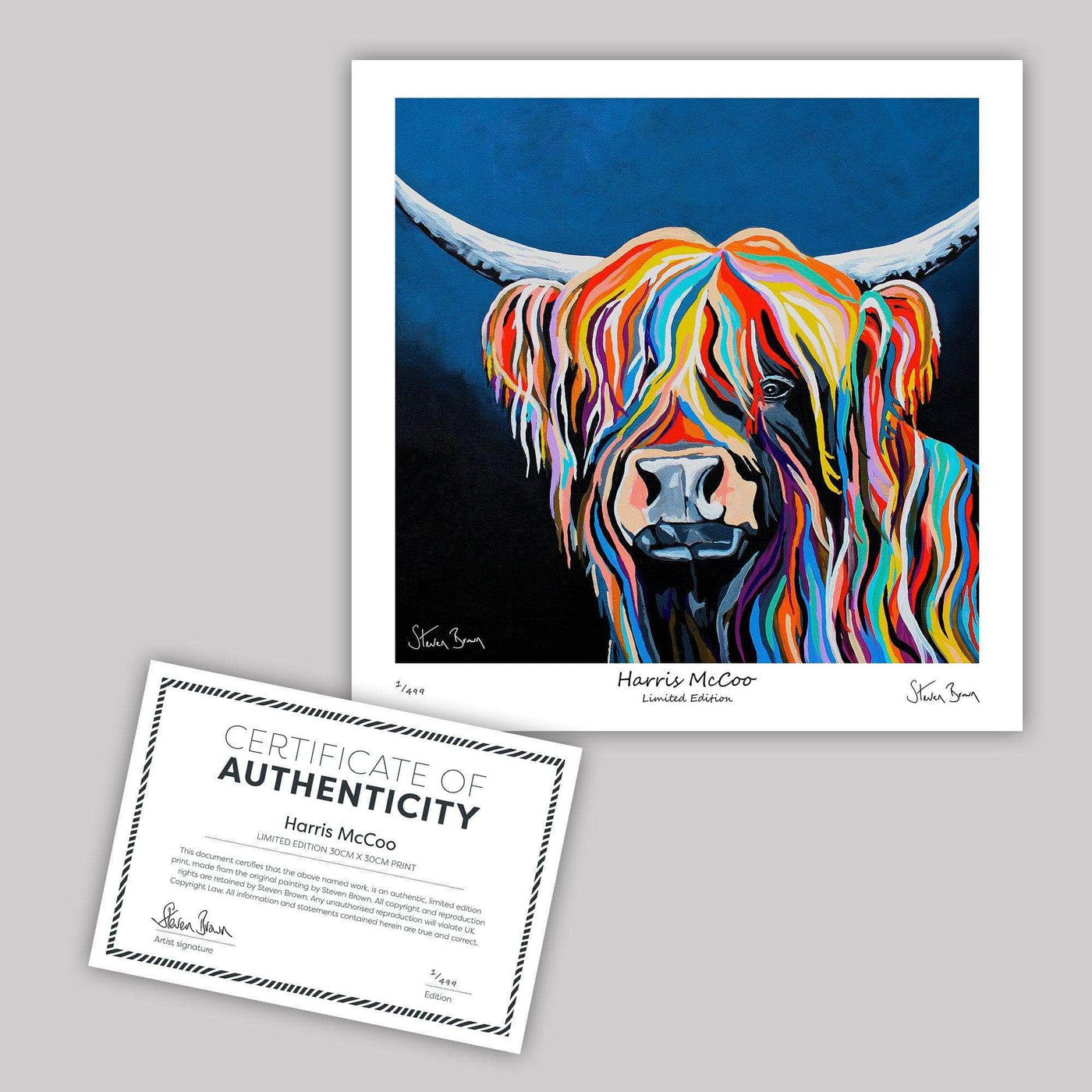 Harris McCoo - Mini Limited Edition Print | Steven Brown Art